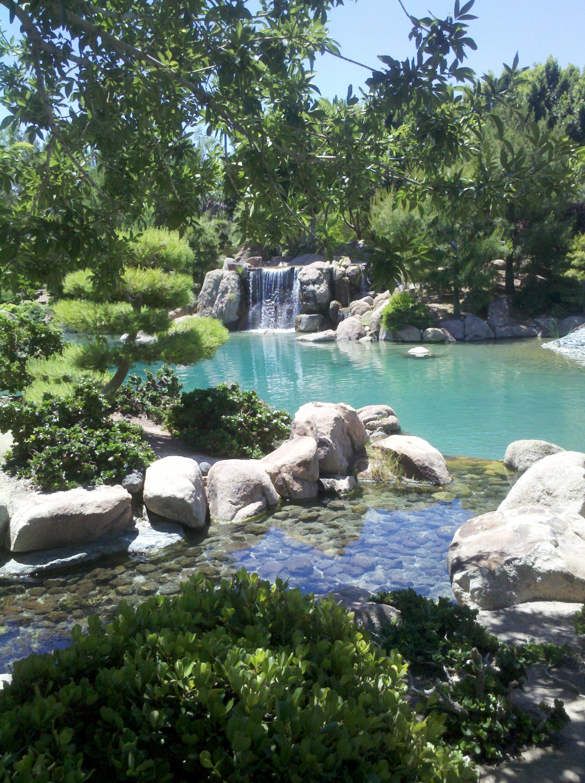 Our Vision – Arizona Enlightenment Center